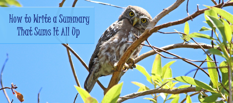 How to Write a Summary That Sums It All Up