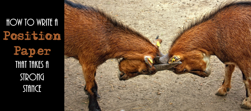 How to Write a Position Paper That Takes a Strong Stance