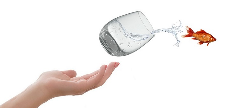 50 Research Paper Topics to Help Jumpstart Your Writing