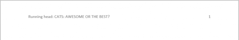 The Stress-Free Guide to APA Essay Format