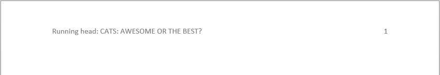 The Stress-Free Guide to APA Essay Format