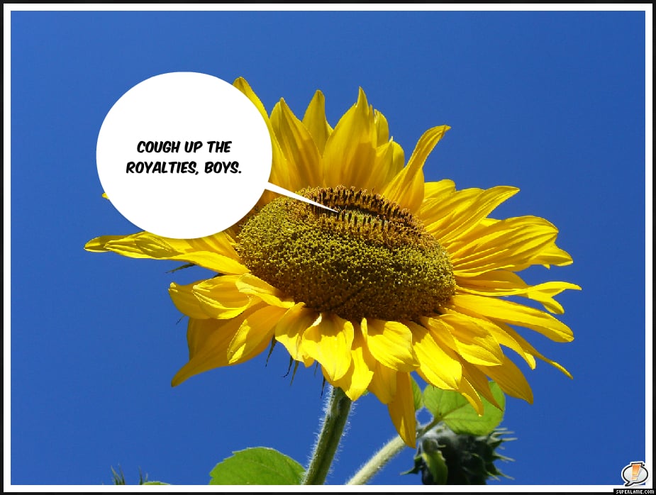 14 Poems to Compare and Contrast Like an Expert