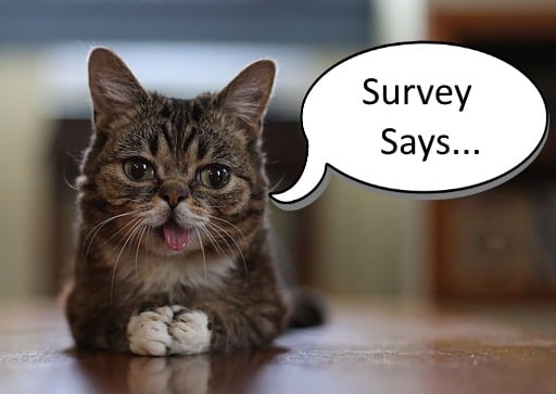 How to Write Perfect Survey Questions for Your Paper