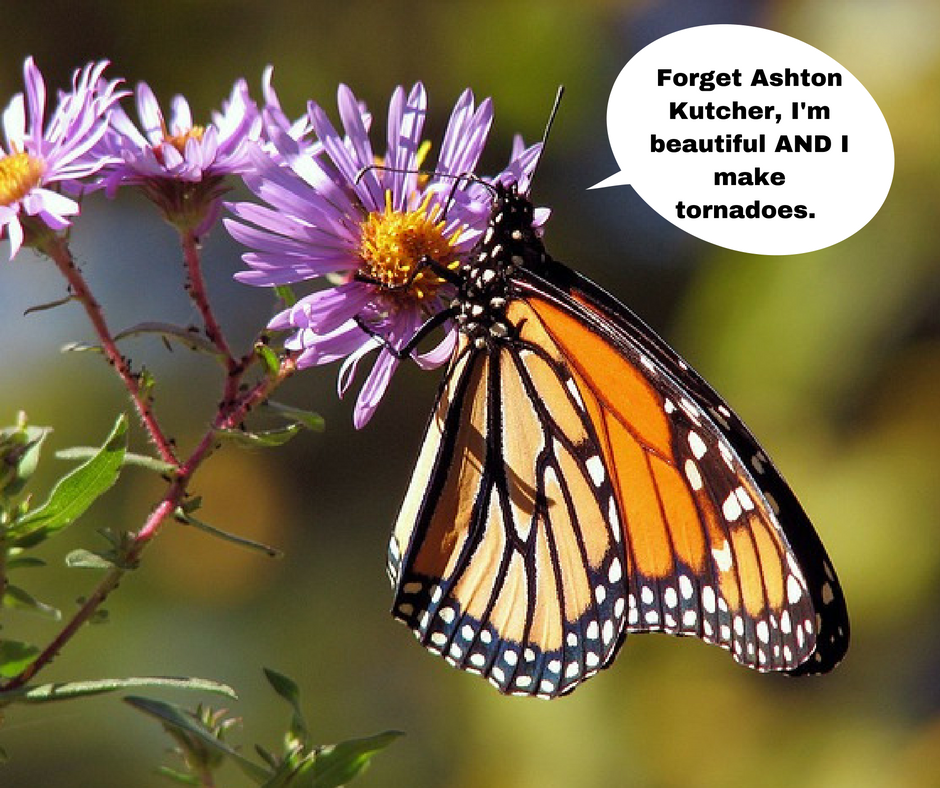 How to Write a Cause and Effect Essay and Get an A