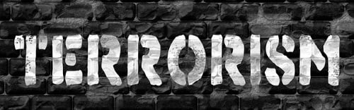 12 Articles and Sources to Support Your Terrorism Essay