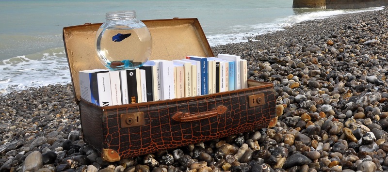 Literary Present Tense: Everything You Need to Know