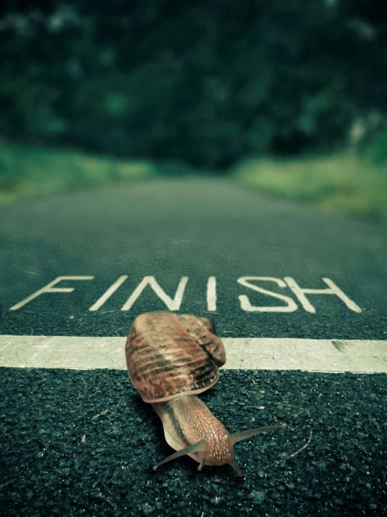 10 Important Essay Writing Skills You Need to Know