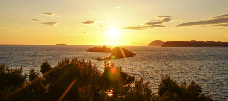 What Is Descriptive Writing, and How Can It Improve Your Essay?